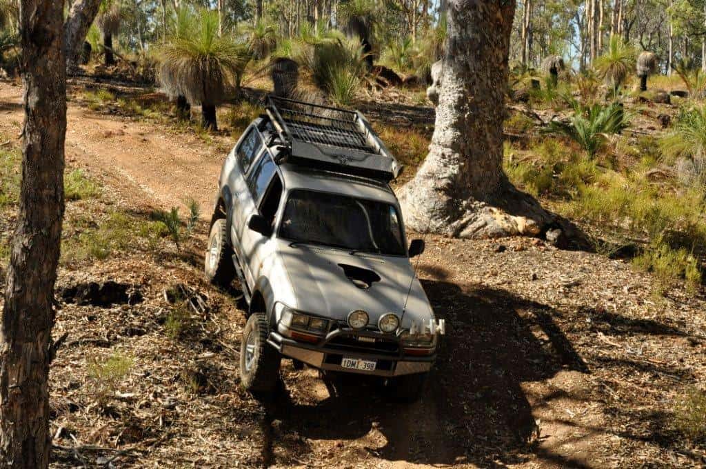 Easter - Julimar Forest Day Trip - Monday 21st 2025 - The Four Wheel ...